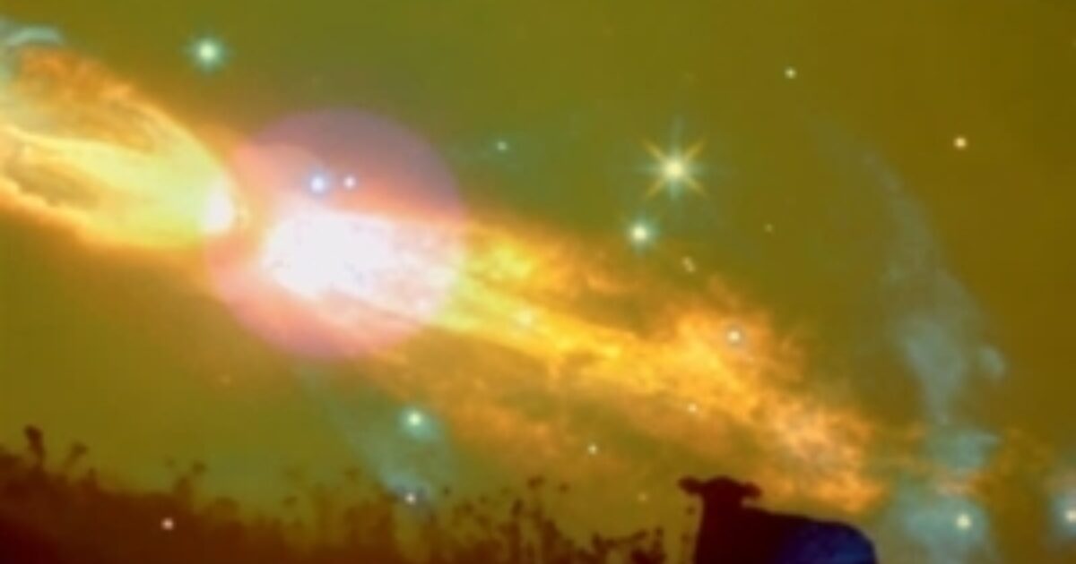 Race, Hugo & True Spirit - Star Birth/Star… | Sounds Recordstore Venlo