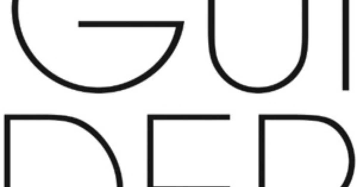 Disappears - Guider | Sounds Recordstore Venlo
