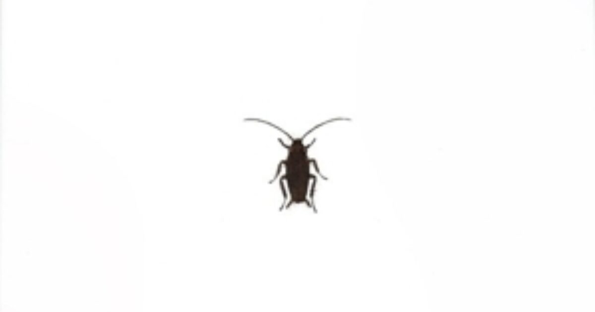 Cosmic Rays - Hard To Destroy | Sounds Recordstore Venlo