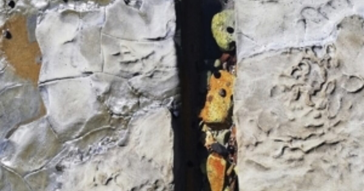 Troth - Oak Corridor | Sounds Recordstore Venlo