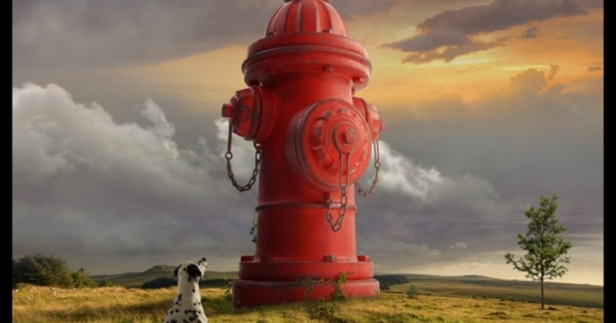 Rush - Signals | Sounds Recordstore Venlo
