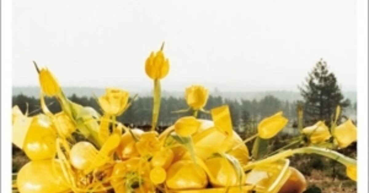 Caribou - Andorra | Sounds Recordstore Venlo